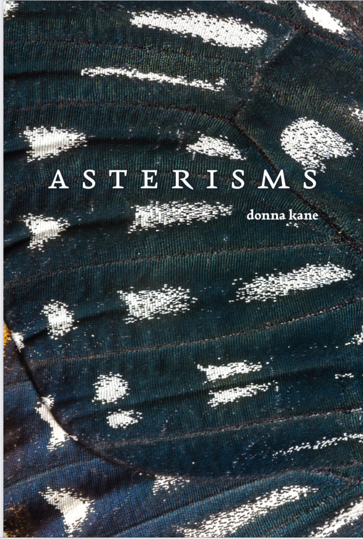 Books – Donna Kane